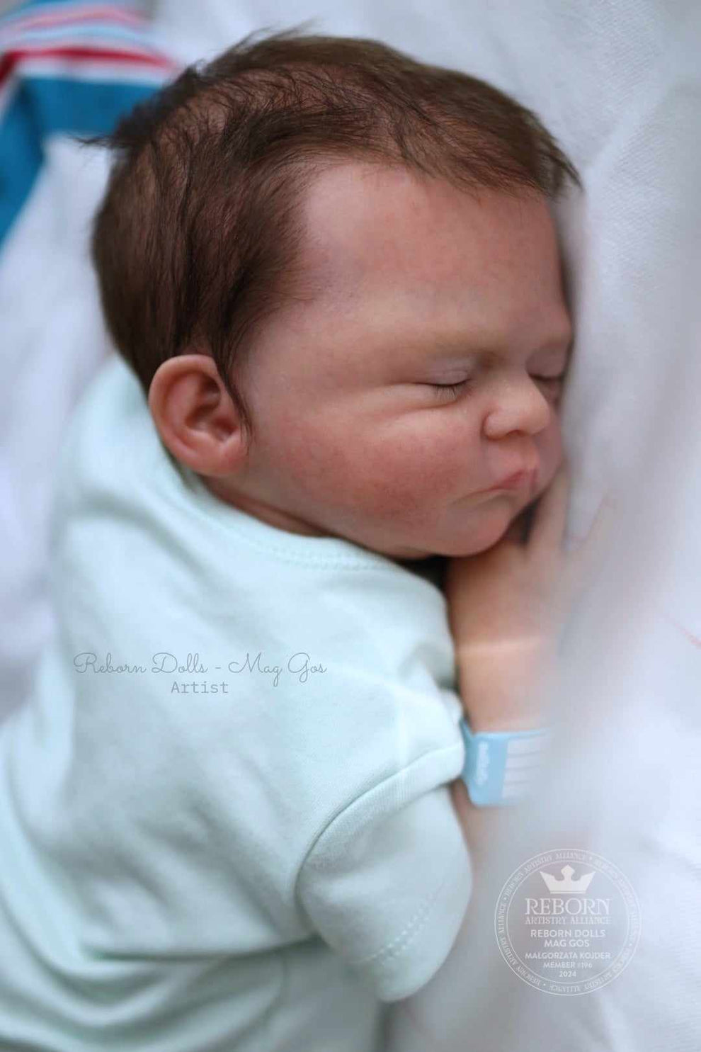 REBORN DOLLS ARTIST - MAG GOS – Reborn Artistry Alliance