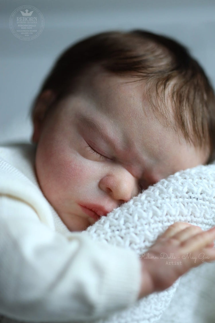 Reborn Artistry Alliance - Premier Reborn Artistry Awards