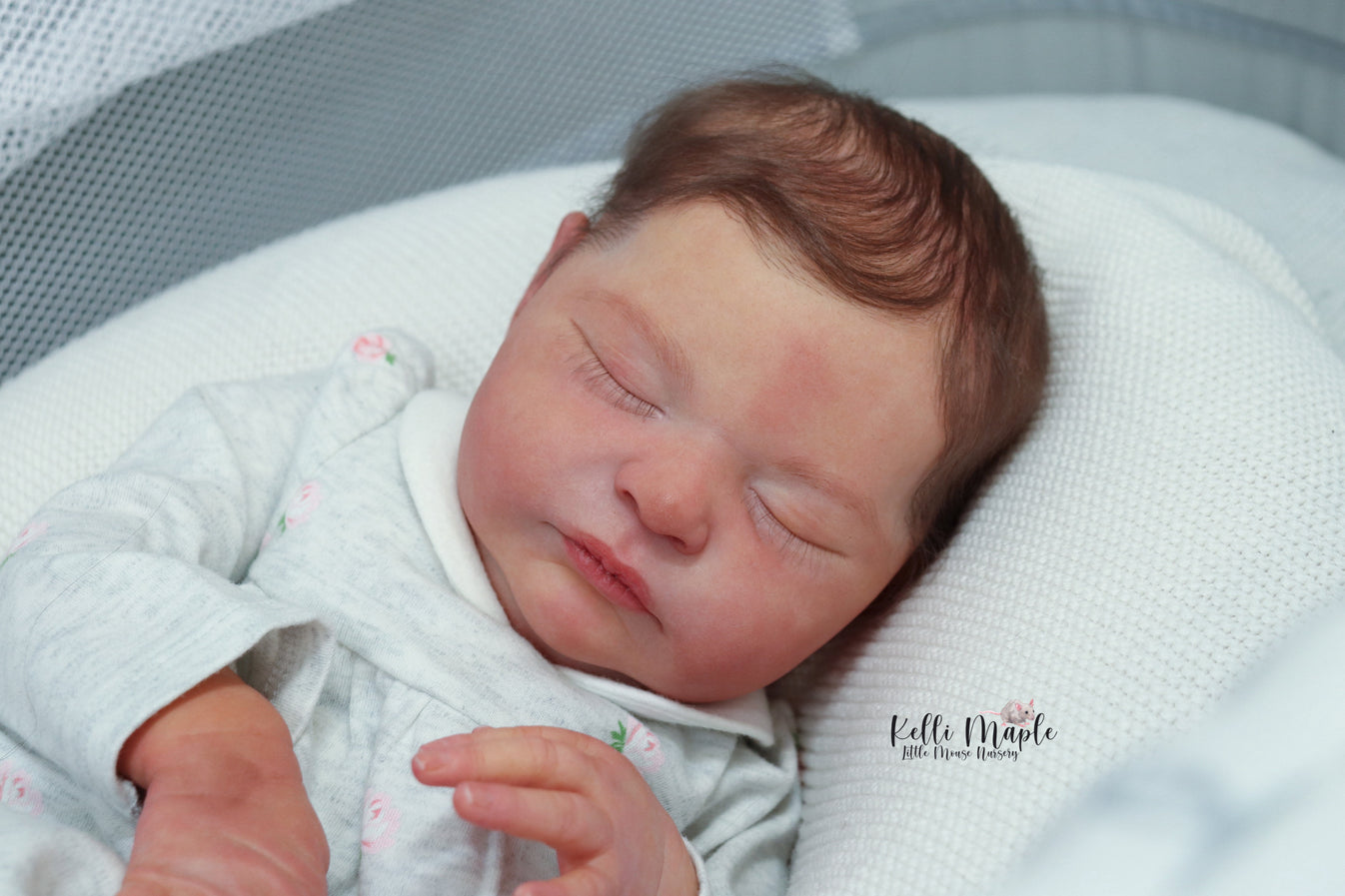 LITTLE MOUSE NURSERY – Reborn Artistry Alliance