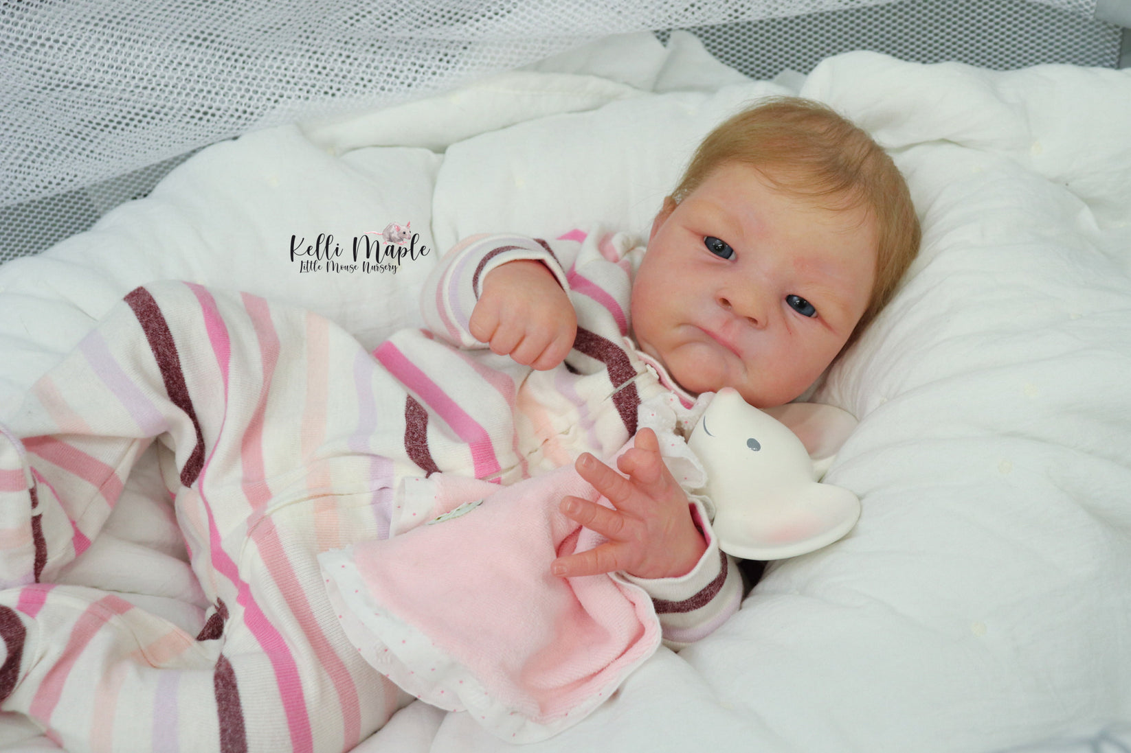 LITTLE MOUSE NURSERY – Reborn Artistry Alliance