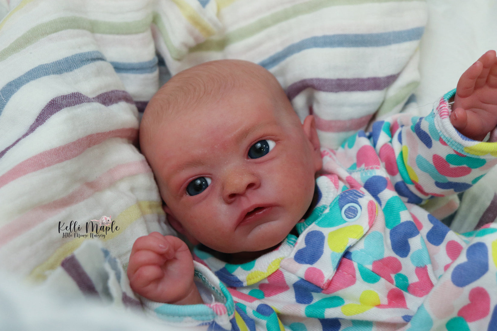 LITTLE MOUSE NURSERY – Reborn Artistry Alliance