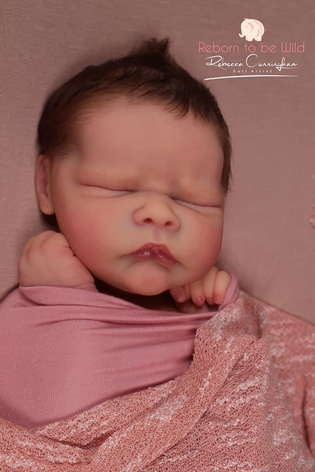 REBORN TO BE WILD NURSERY – Reborn Artistry Alliance