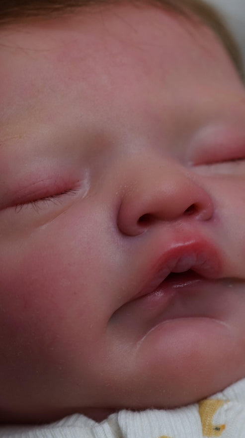 REBORNS OF JESS – Reborn Artistry Alliance