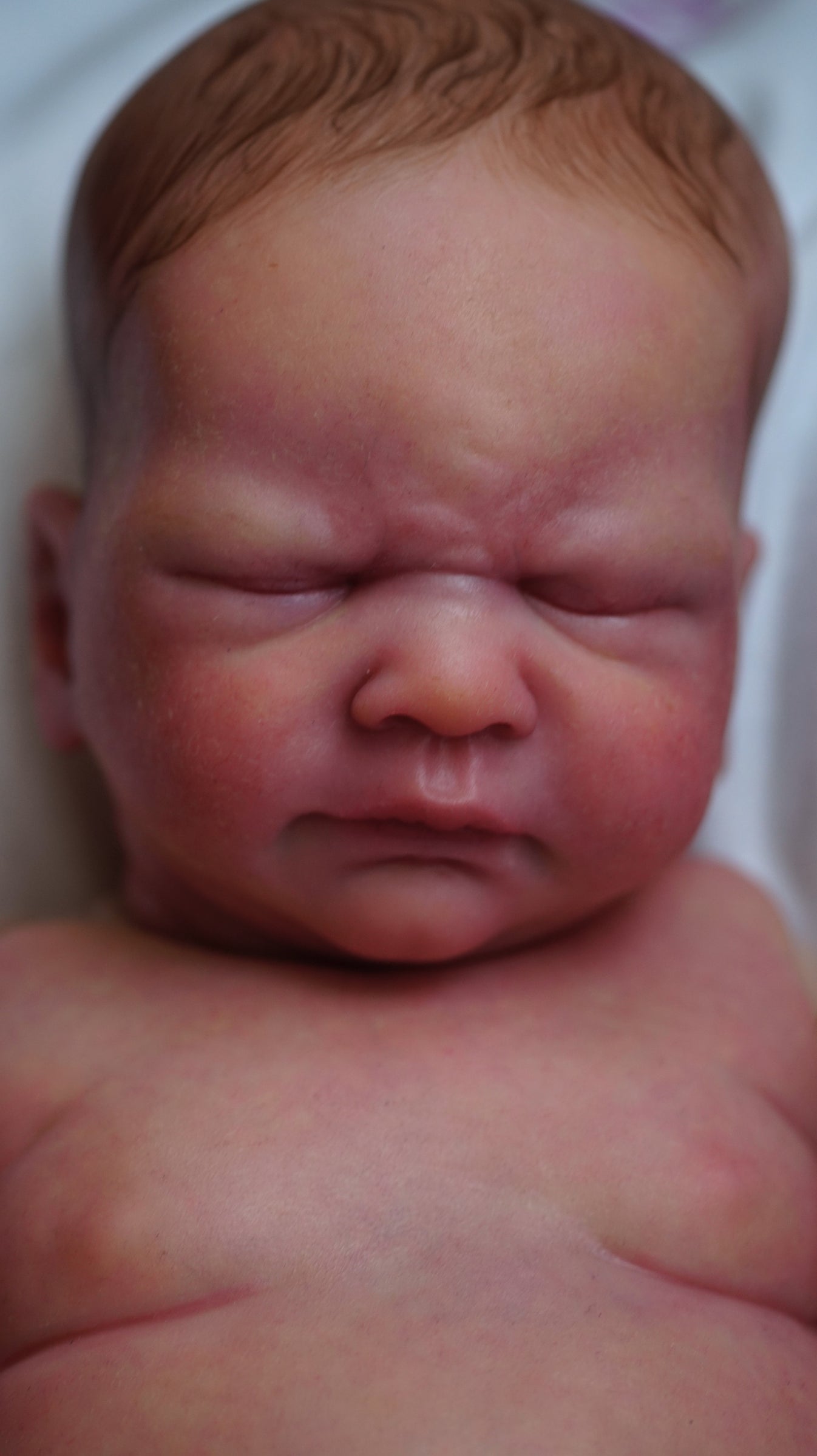 REBORNS OF JESS – Reborn Artistry Alliance