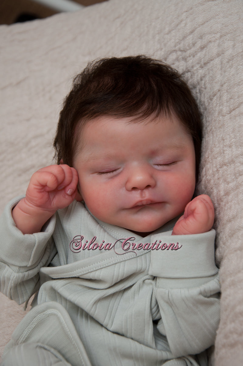 SILVIACREATIONS – Reborn Artistry Alliance